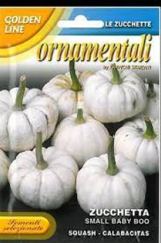 Gourds Zucchetta Small Baby Boo Ornamental Squash | The Heirloom Seed Store